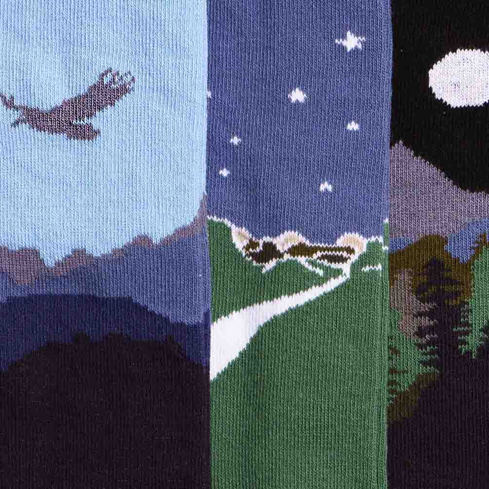 Men's Landscape 3 Pack Socks – Toggi